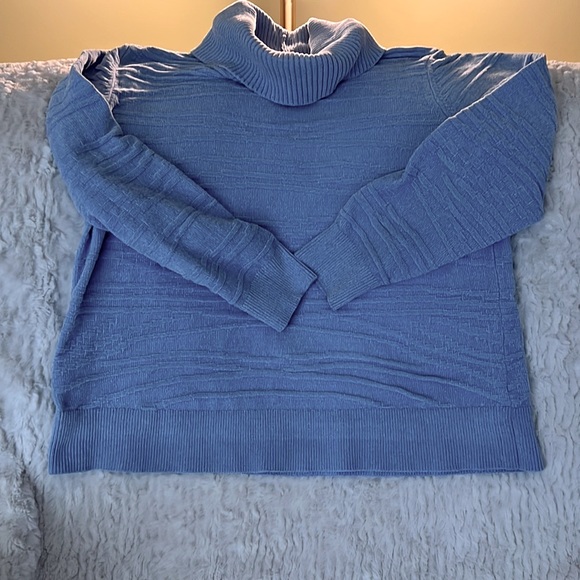 AnyBody | Sweaters | Any Body Powder Blue Chenille Sweater With Cowl ...